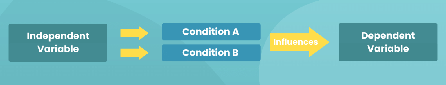 What You Should Know About Independent and Dependent Variables